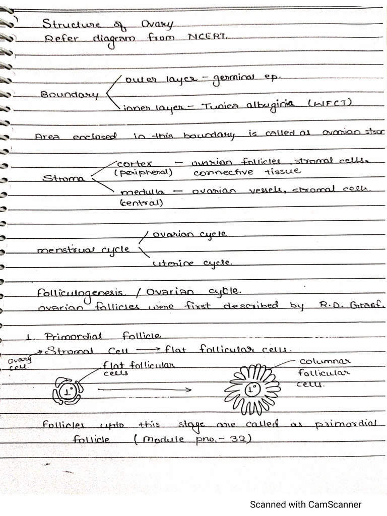 Human_Repro_Part-2 | PDF