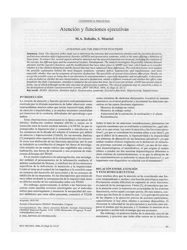 Atencion y Funciones Ejecutivas | PDF
