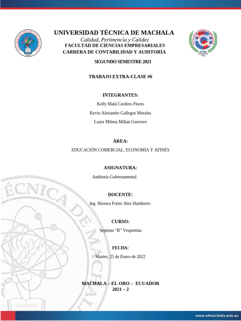 TAREA EXTRACLASE 6 - GRUPAL (1) | PDF | Auditoría | Business