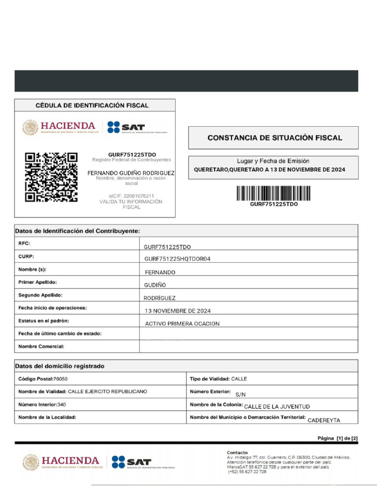 Archivo RFC PDF 13-Nov-2024 | PDF