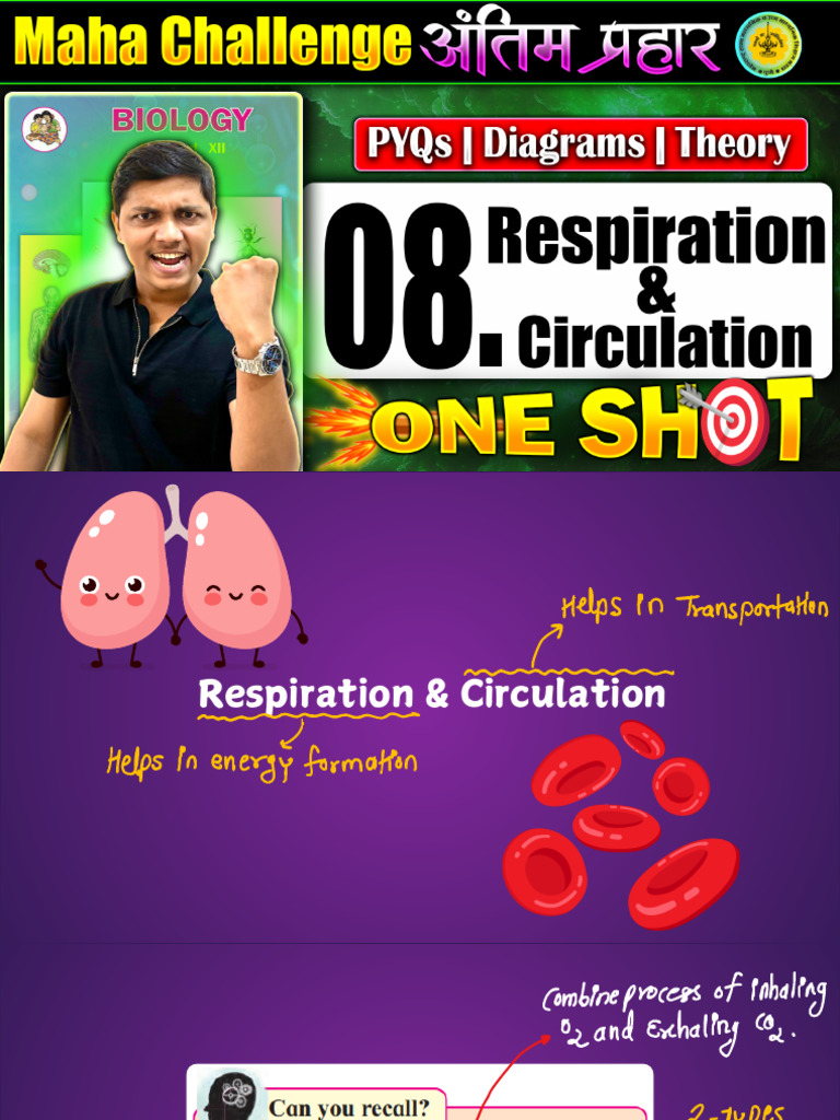 Respiration and Circulation Overview | PDF | Lung | Respiratory System