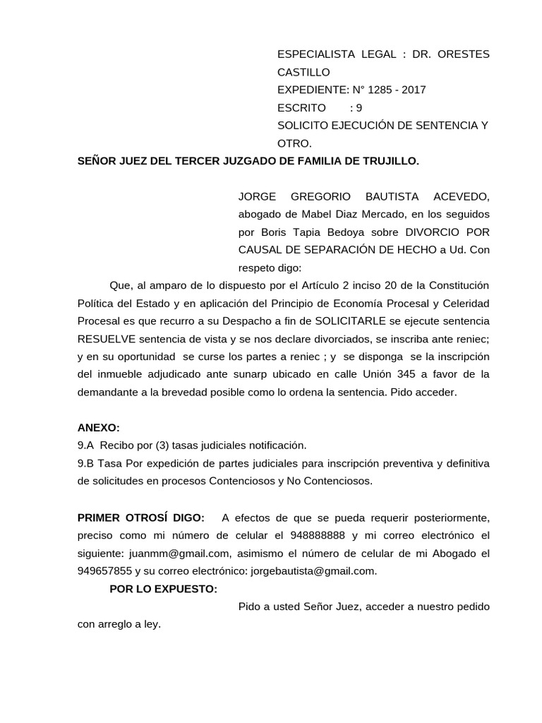 Ejecución de Sentencia | PDF