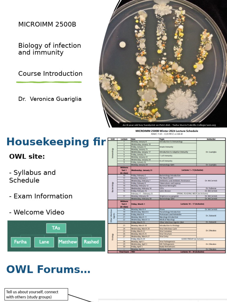 Immunity & Infection Course Intro | PDF | Immune System | Innate Immune ...