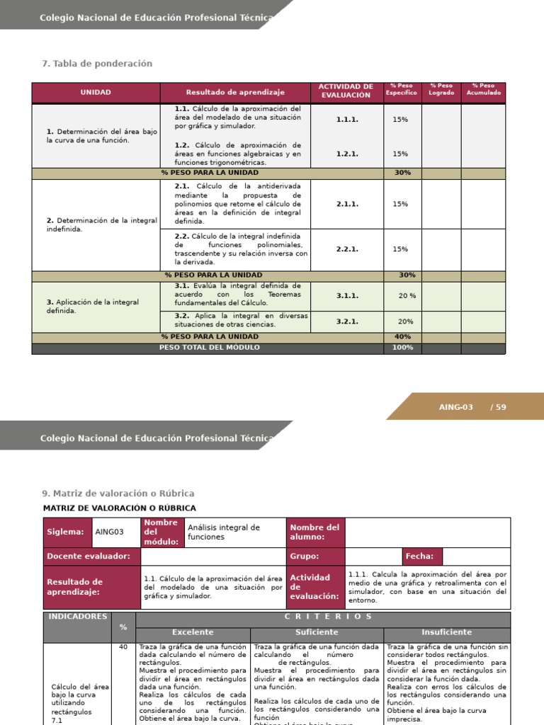Tab Rubricas AING | PDF | Integral | Variable (Matemáticas)