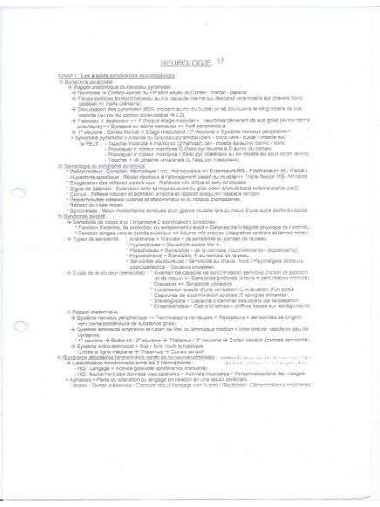 Cours Patho Med | PDF