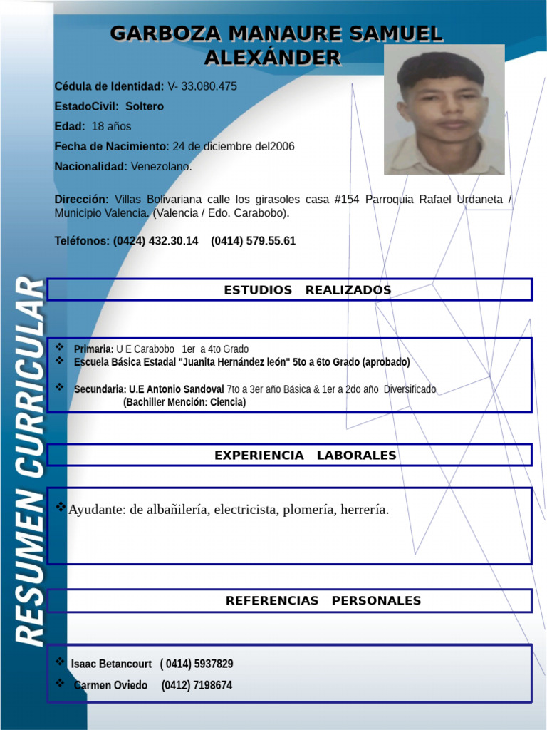 Curriculum Vitae Johan Garboza | PDF
