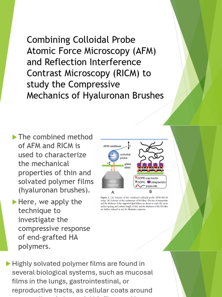 AFM and RICM in Hyaluronan Mechanics | PDF | Atomic Force Microscopy ...