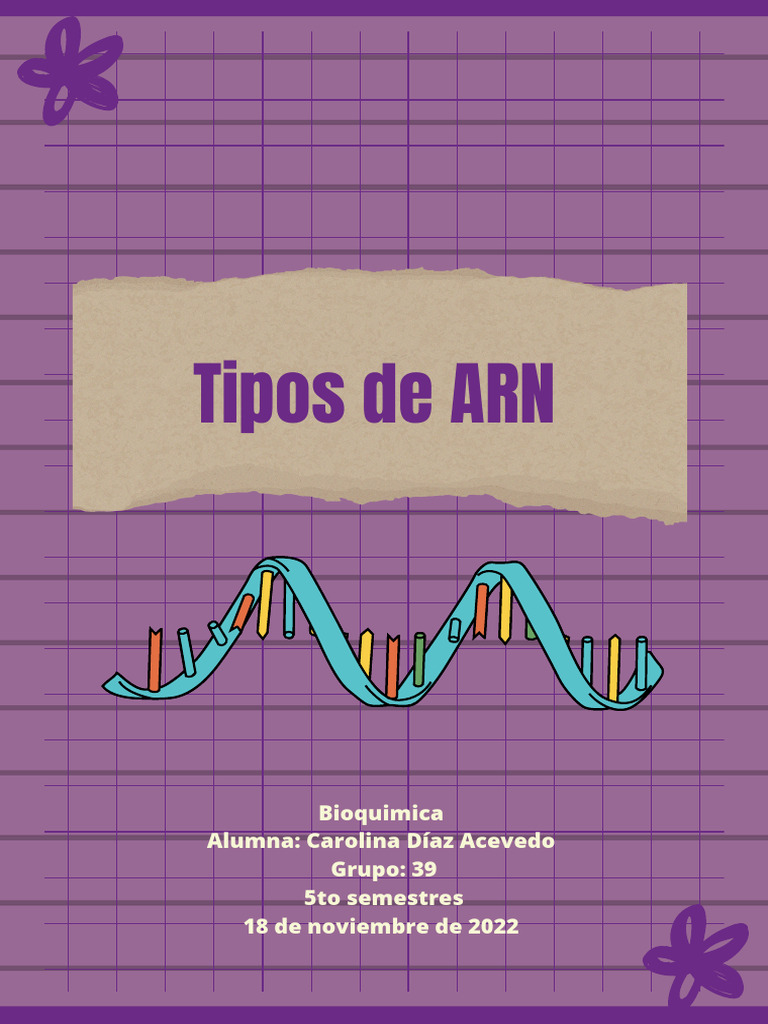Tipos de ARN y su función en bioquímica | PDF