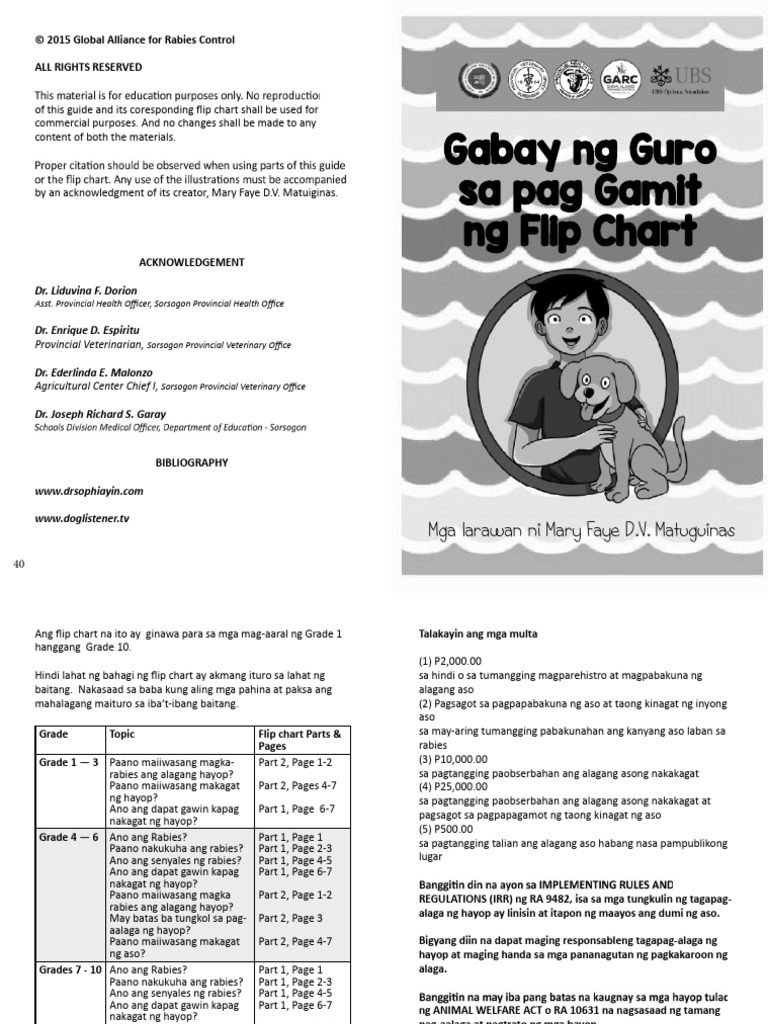 Rabies Information Flipchart Teaching Guide | PDF