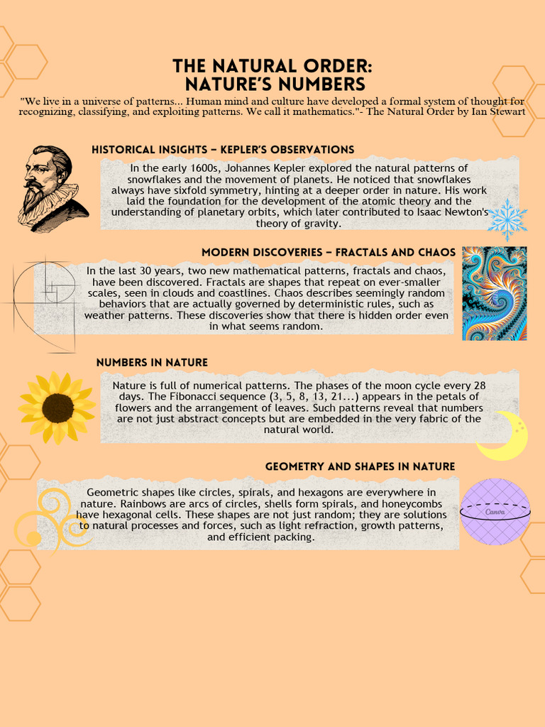 INFOGRAPHIC-MMW | PDF | Pattern | Mathematics