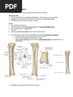 MTP and IP Joint Overview in Foot | PDF | Foot | Toe