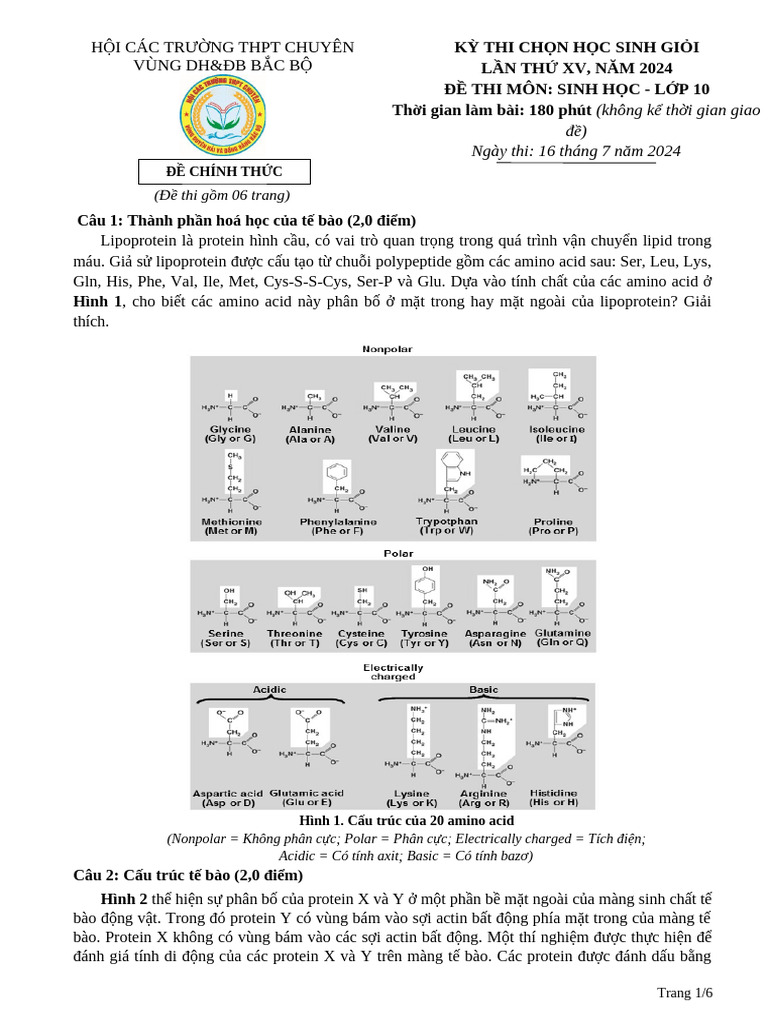 10 DE SINH DHBB 07.2024- CHUẨN | PDF