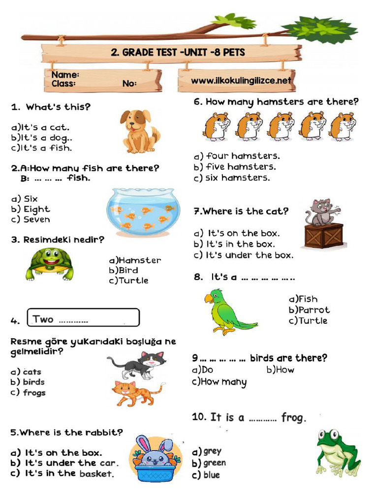 Unit 8 - Pets 20 Questions Quiz | PDF
