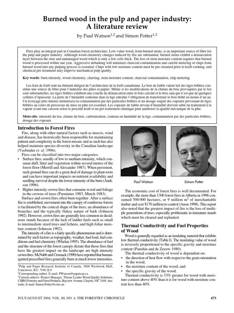 Impact of Fire on Pulp Industry Wood | PDF | Pulp (Paper) | Wood