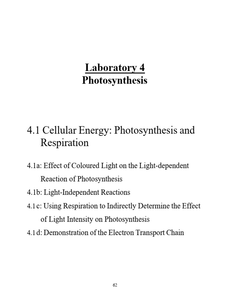 Laboratory 4 Photosynthesis | PDF | Photosynthesis | Cellular Respiration