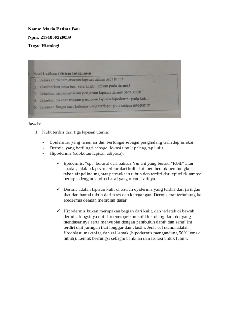 Maria Fatima Bou (Tugas Histologi) | PDF