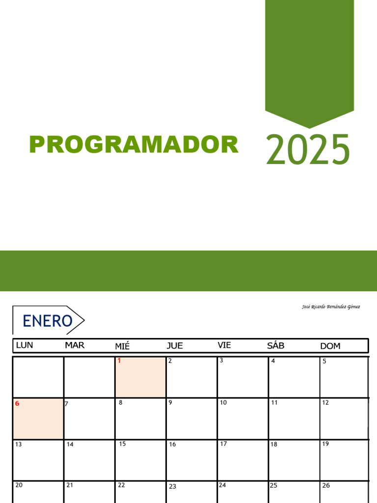 Programador 2025 | PDF