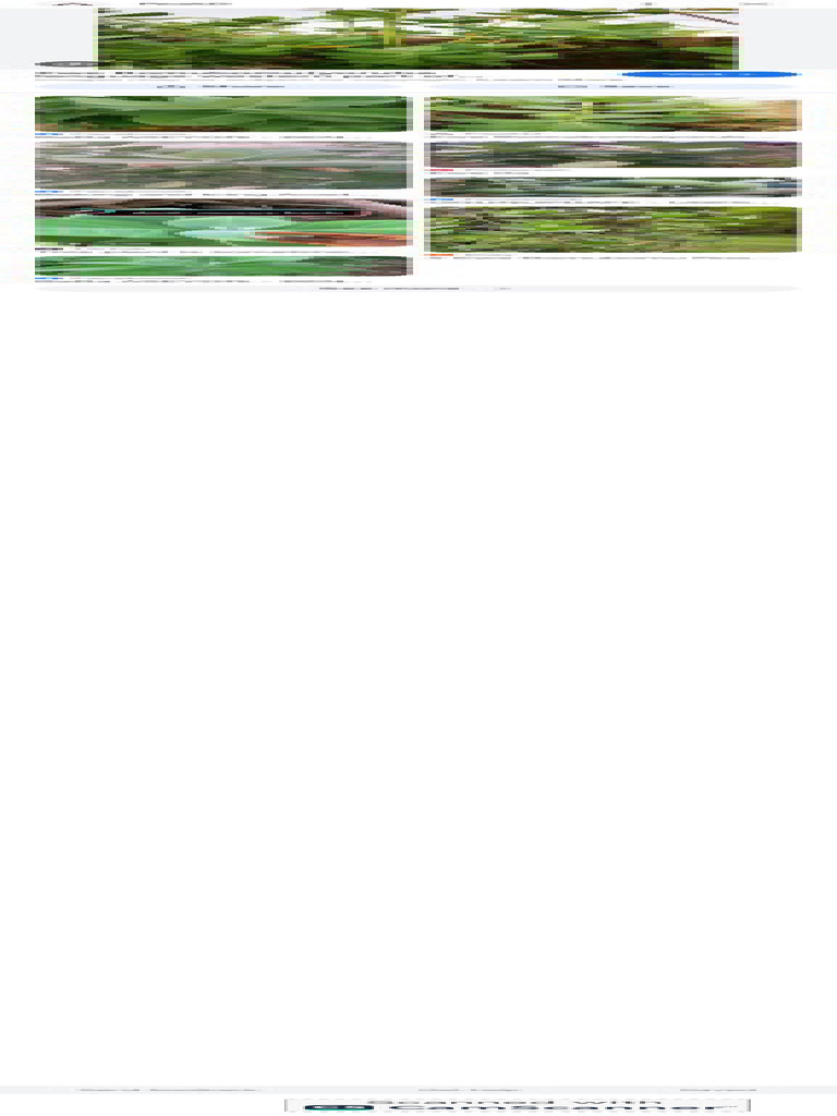 Bomubomu - Google Search | PDF