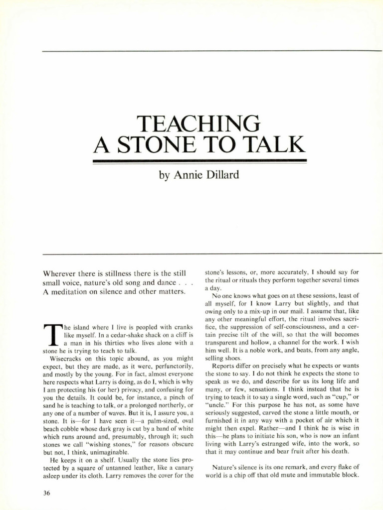 Teaching A Stone To Talk | PDF
