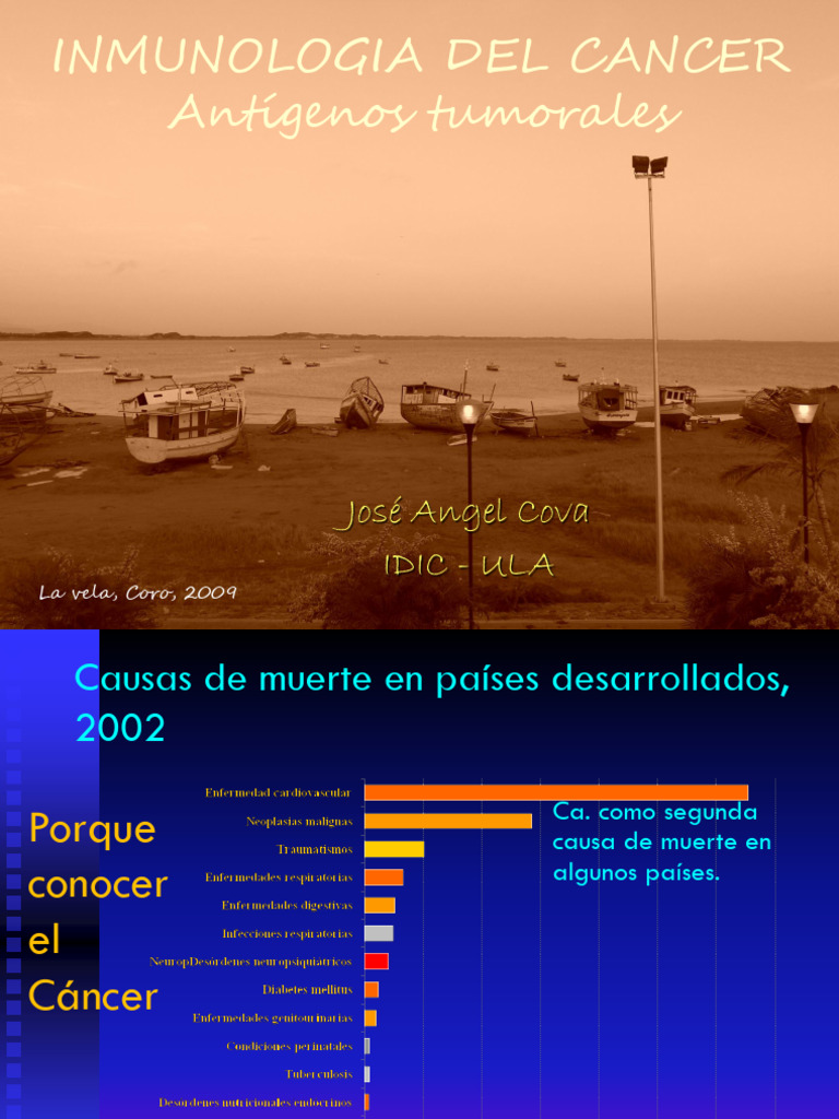 Inmunología del Cáncer y Antígenos Tumorales | PDF | Cáncer | Oncogen