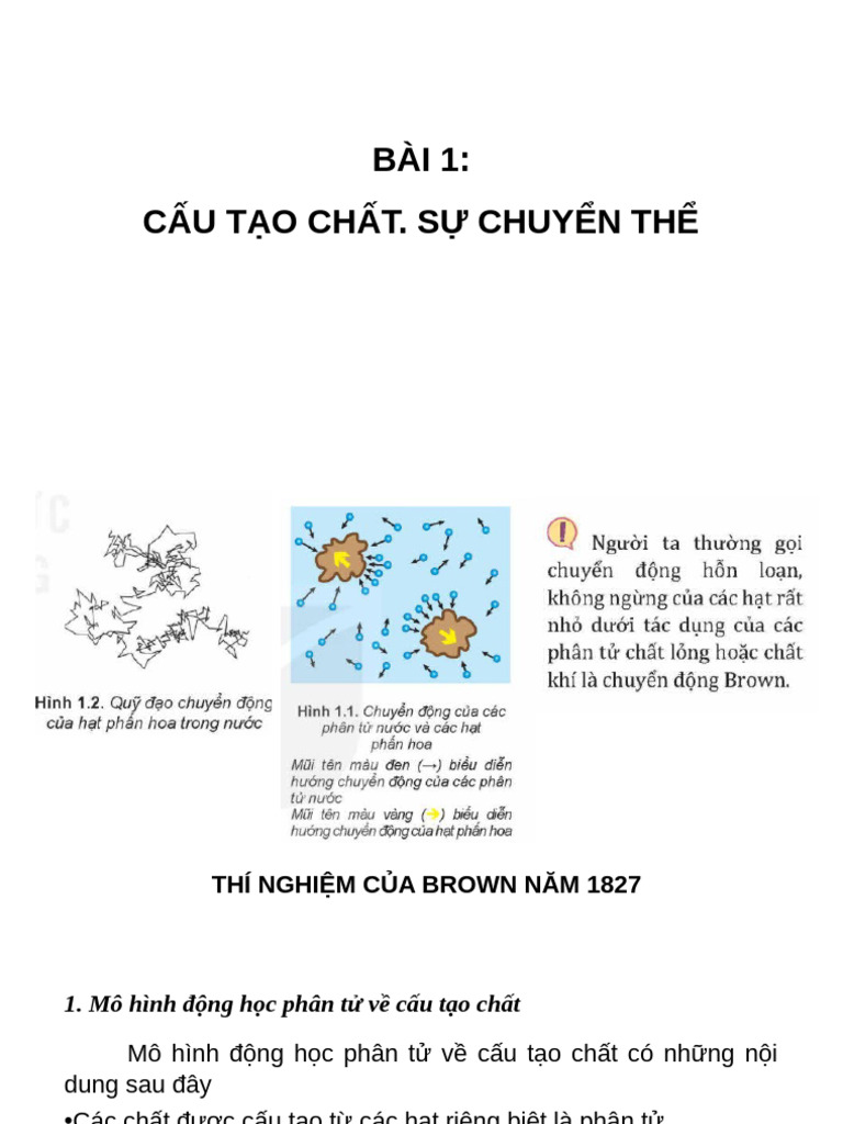 Chu de 1 Cau Tao Chat | PDF
