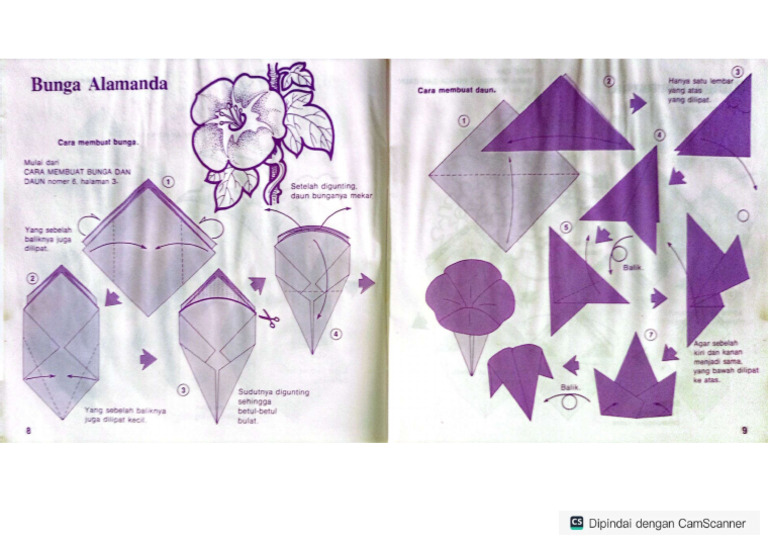 Origami TK - Alamanda | PDF