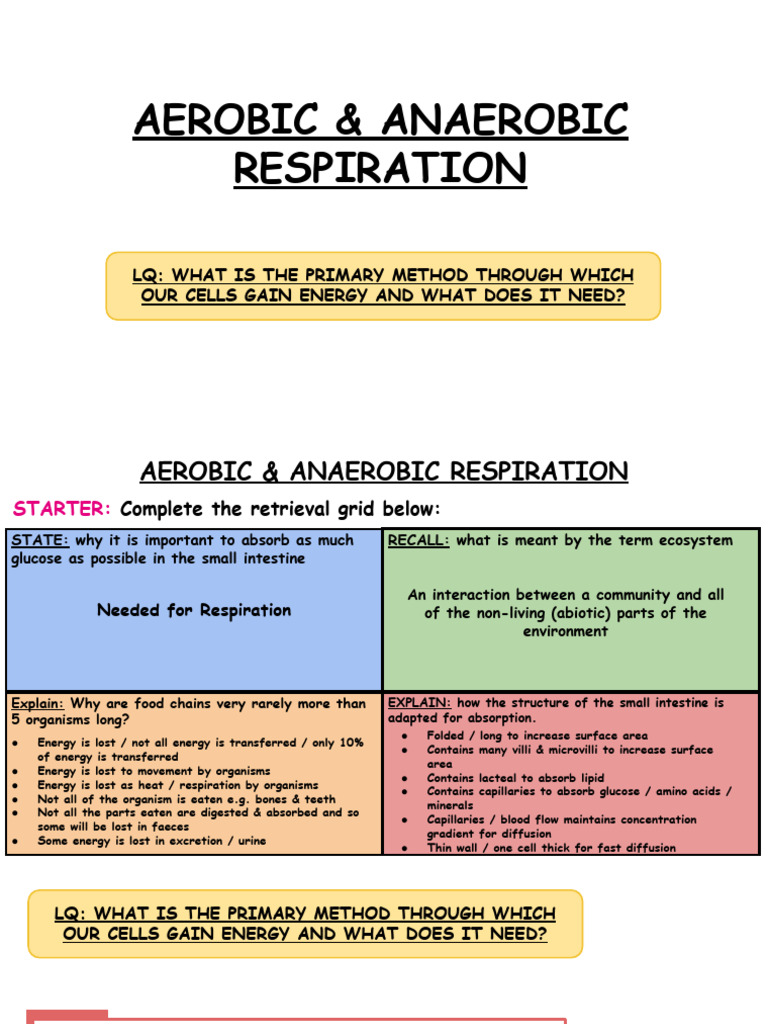 U4.8 RHA - AEROBIC & ANAEROBIC RESPIRATION - Students | PDF | Cellular ...
