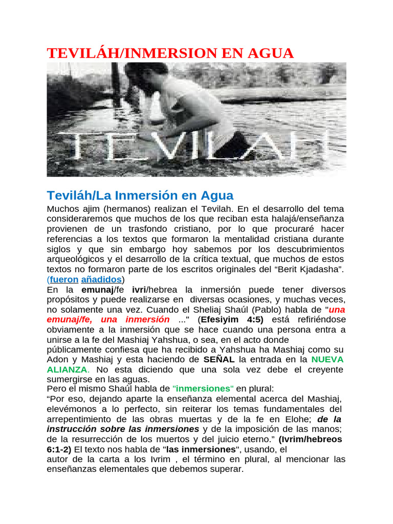 Significado y Práctica de la Teviláh | PDF | Creencia religiosa y doctrina