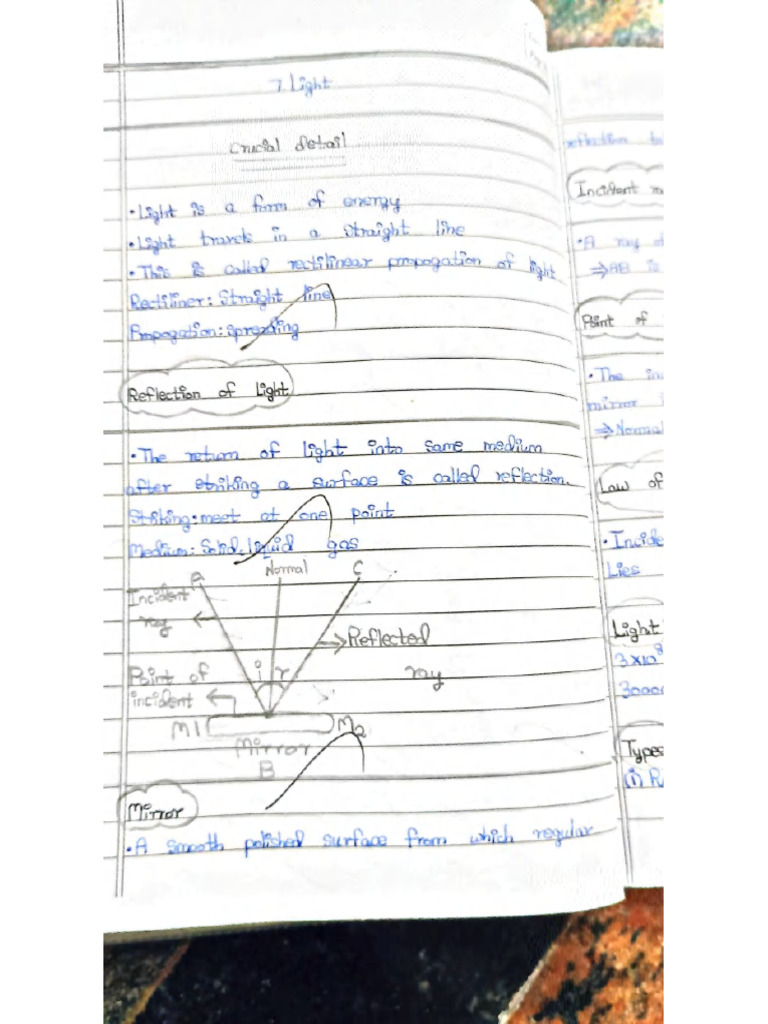 Science Notes Class 7 | PDF