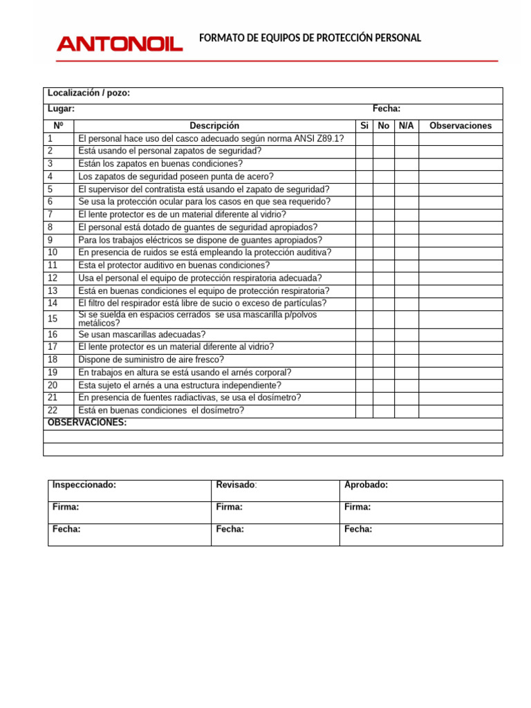 #09 Formato de Inspeccion de EPP | PDF