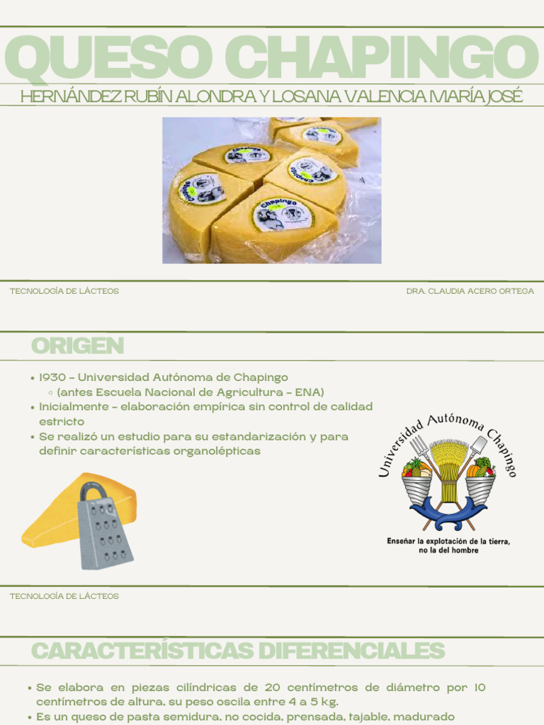 Queso Chapingo PDF | PDF