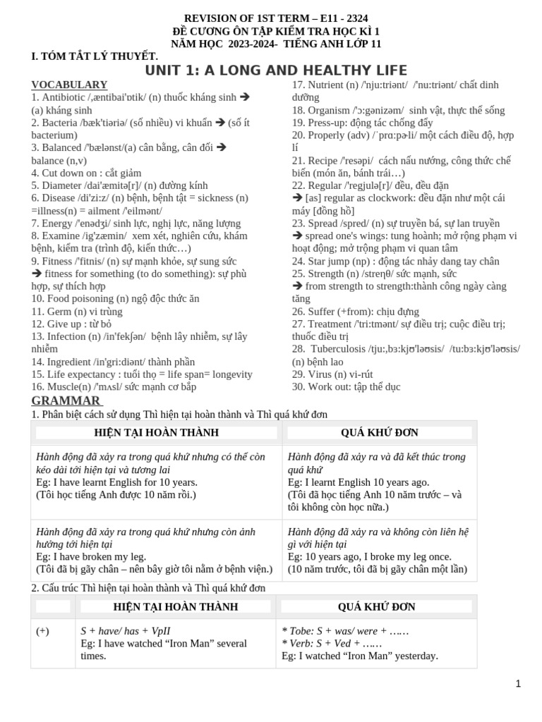 De Cuong On Tap Mon Tieng Anh 11 HK1 Nam 2023 2024 f9f24 | PDF