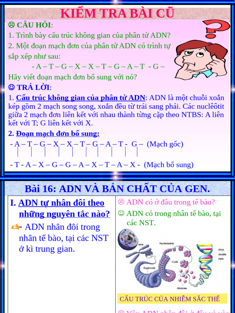 Bai 16 ADN Va Ban Chat Cua Gen | PDF