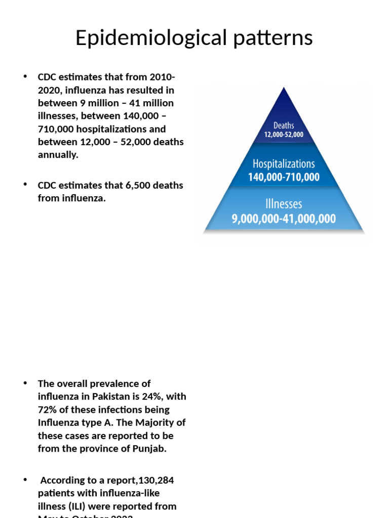 Influenza Epidemiology: Global Patterns | PDF