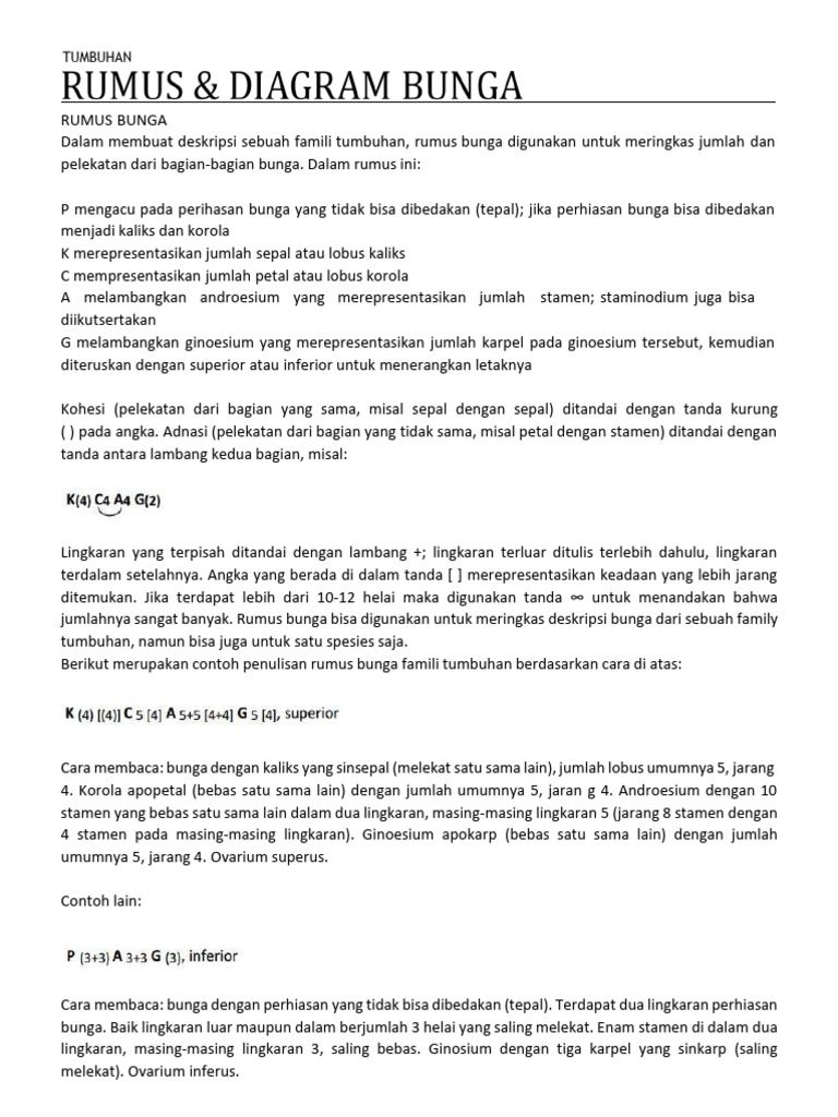 Modul Diagram Bunga | PDF