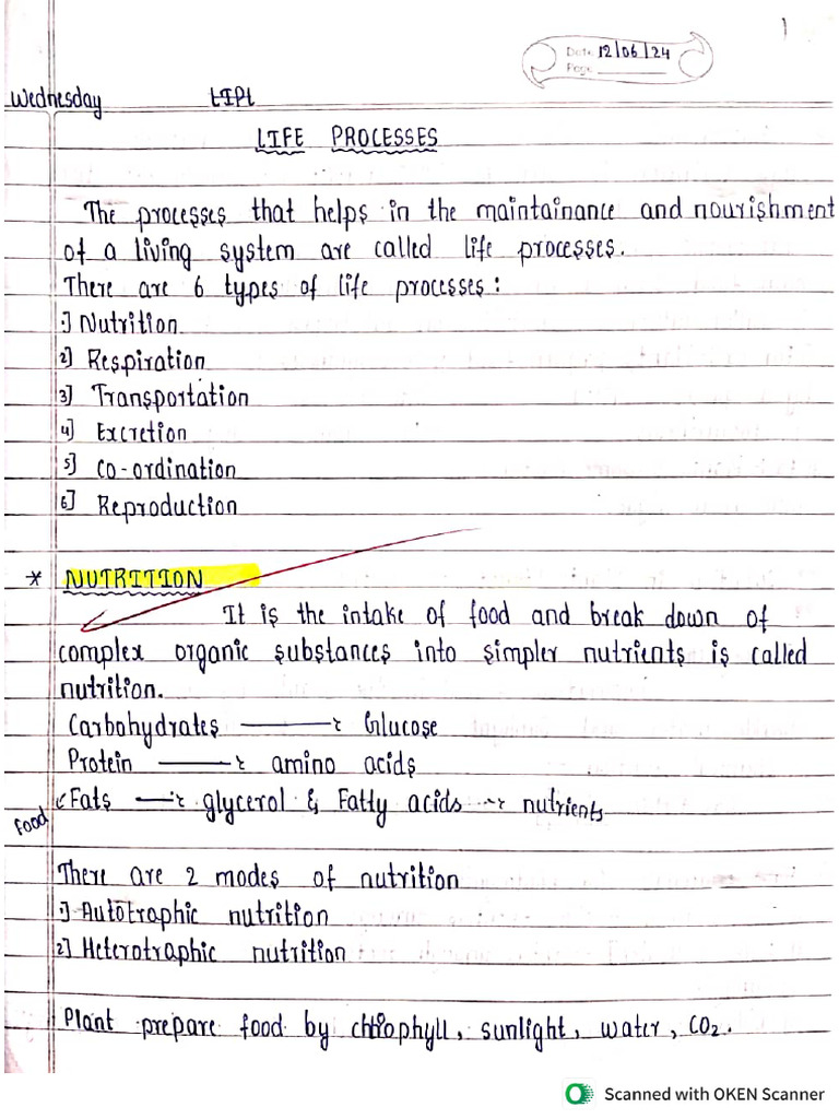 Life Processes notes | PDF