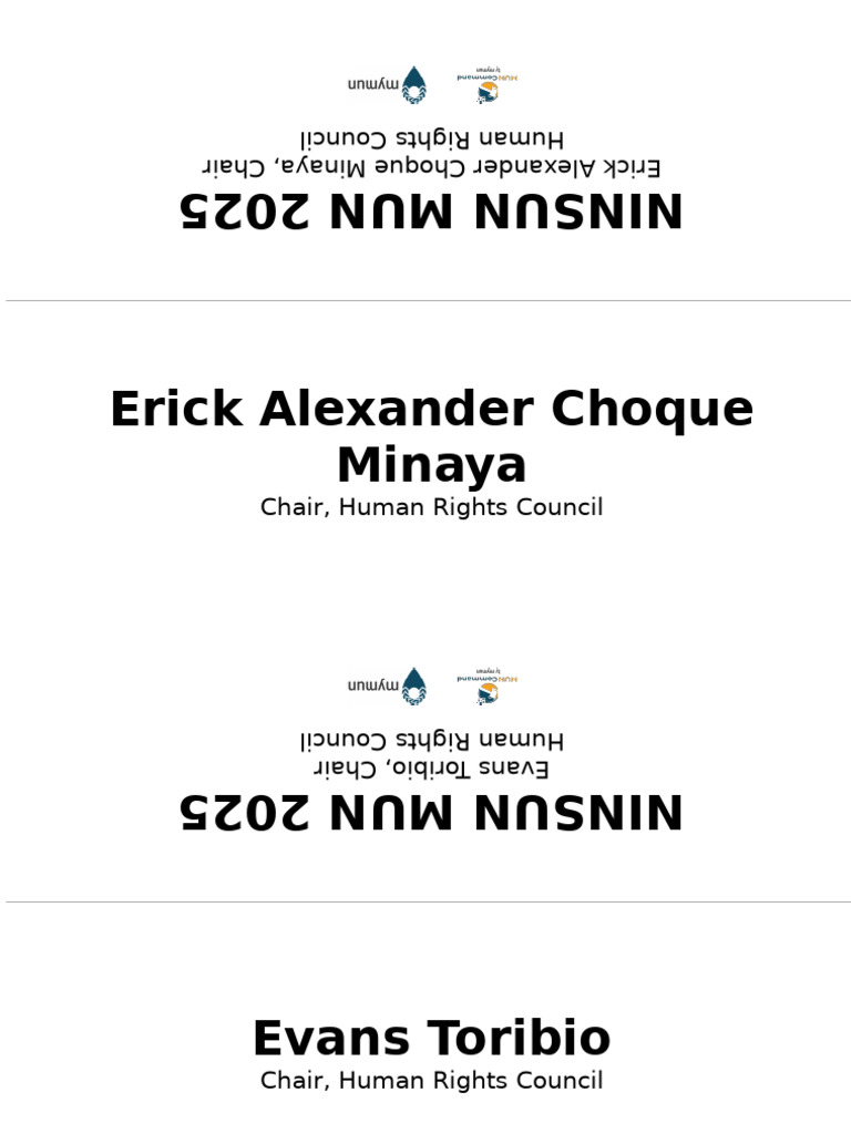 NINSUN MUN - Español - Placards | PDF | United Nations | International ...