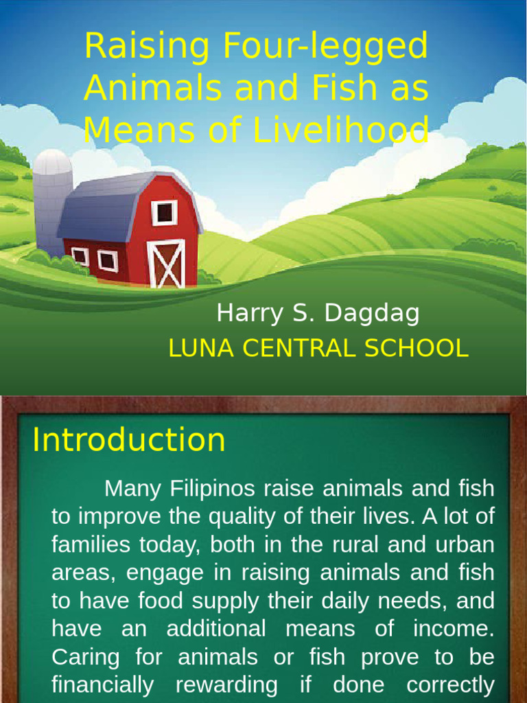 Raising Four-Legged Animals for Income | PDF | Cattle | Food Industry