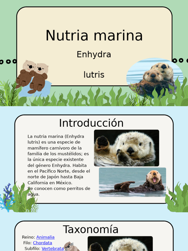 Nutria | PDF | Nutria | Mamíferos