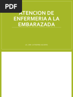 Carnet Control Prenatal | PDF | El embarazo | Partería