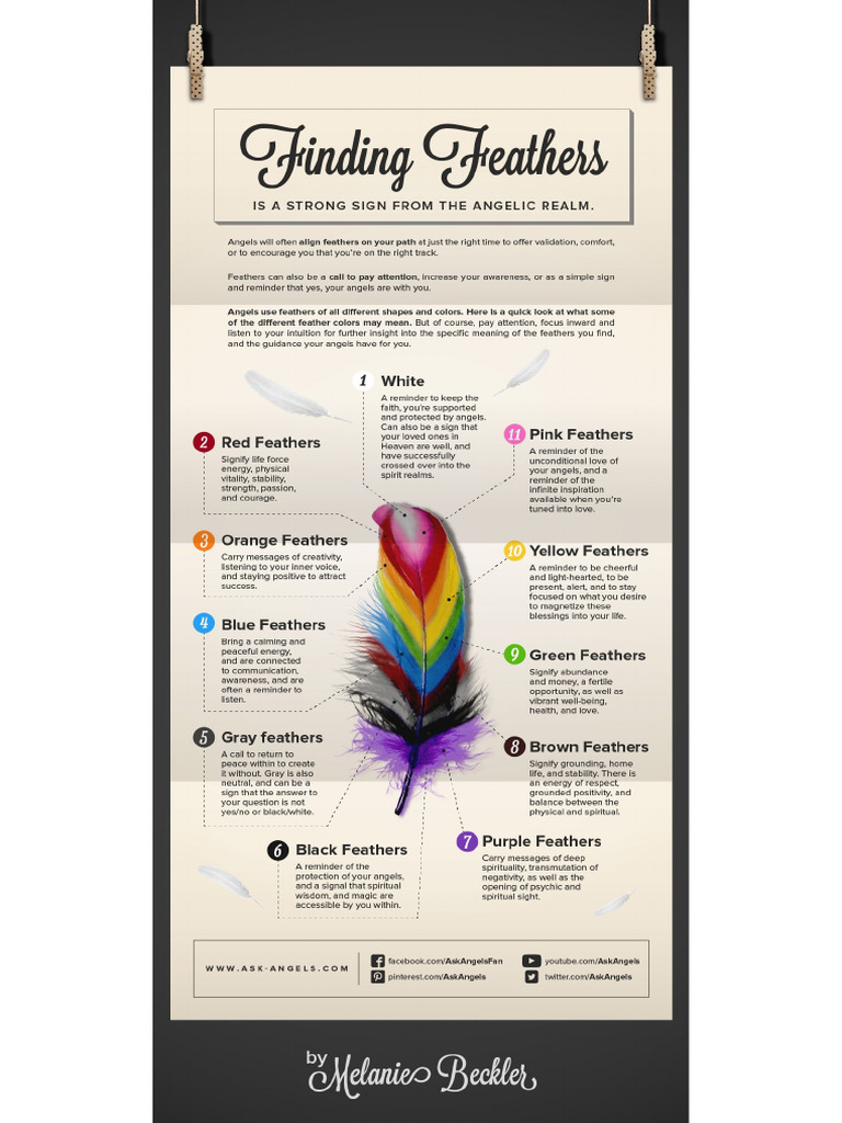 finding feather | PDF