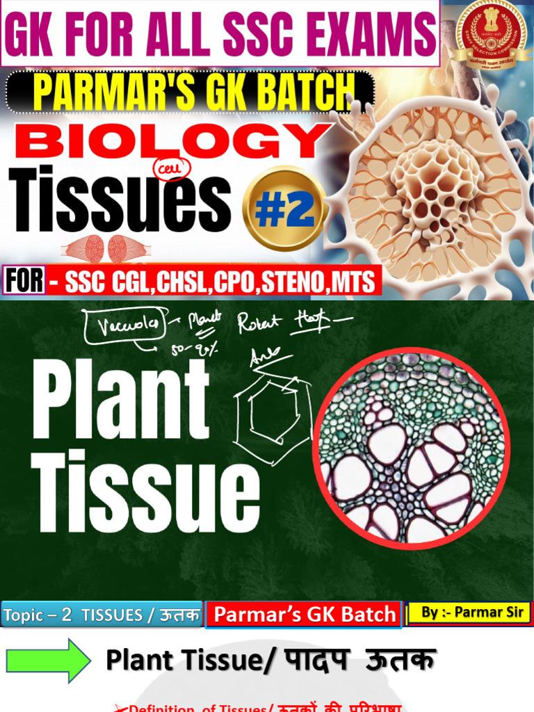 3 - Lecture - 2 - Tissues - Class - PPT | PDF