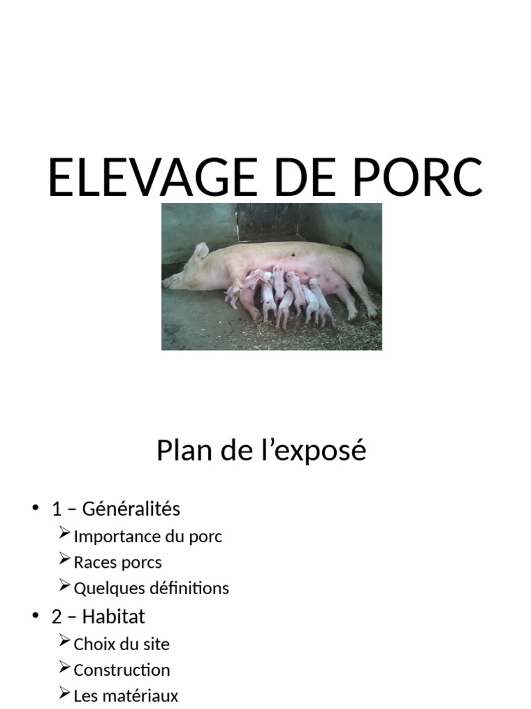 Elevage de Porc Atelier | PDF | Cochon