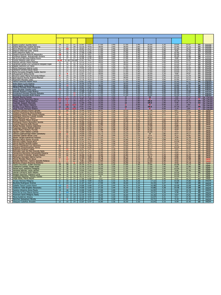 Formato Correguido 2024 Eapo Fiso | PDF
