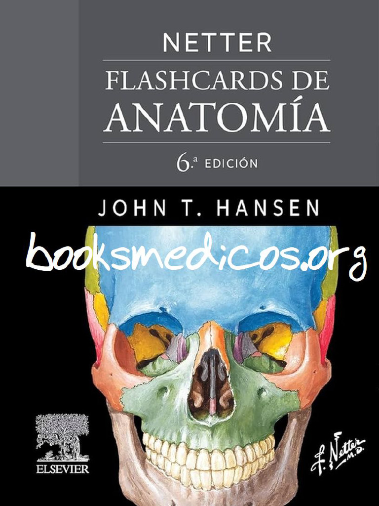 Netter Flashcards Anatomia 6a Edicion | PDF | Abdomen | Corazón