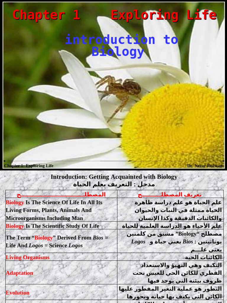 Chapter 1 Presentation | PDF