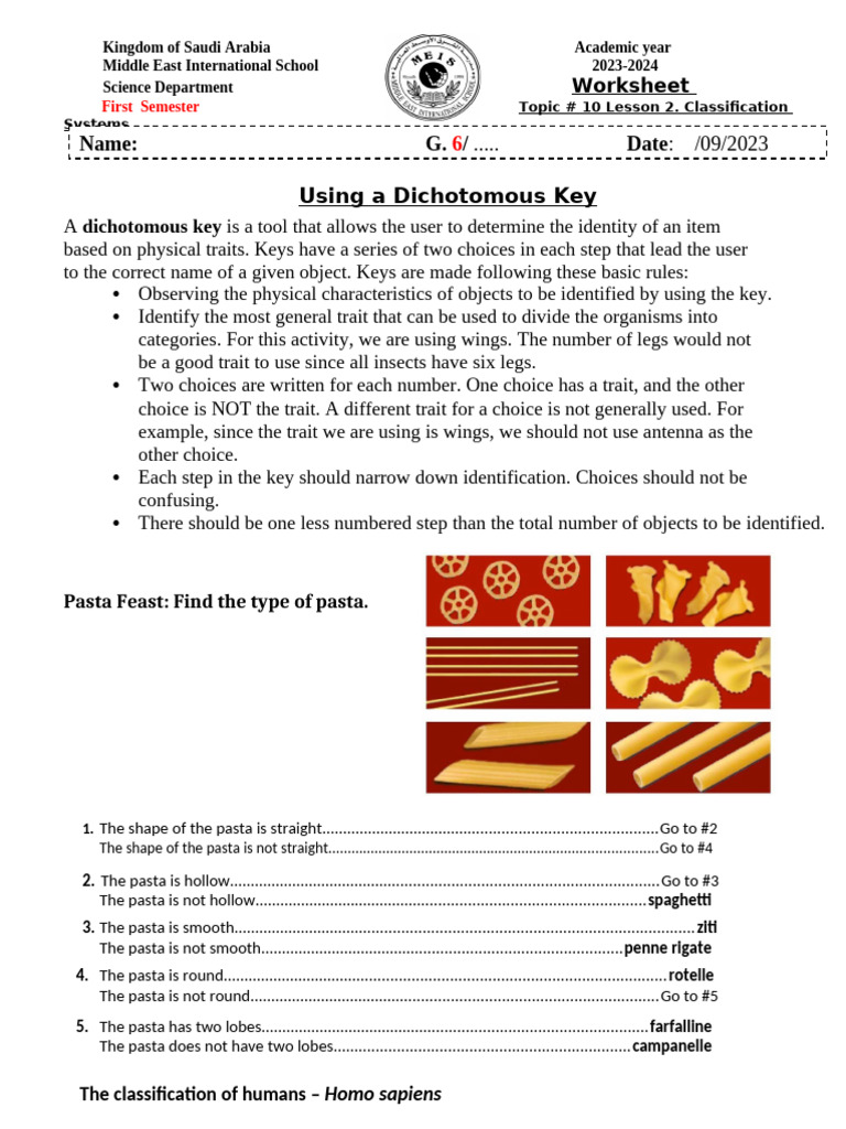 T 10.2 Classification System worksheet | PDF | Taxonomy (Biology) | Genus