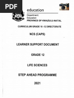 Sesotho Malefane | PDF