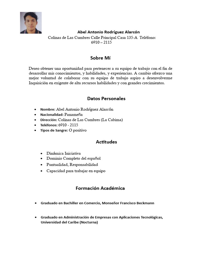 Curriculum Vitae 2024 | PDF