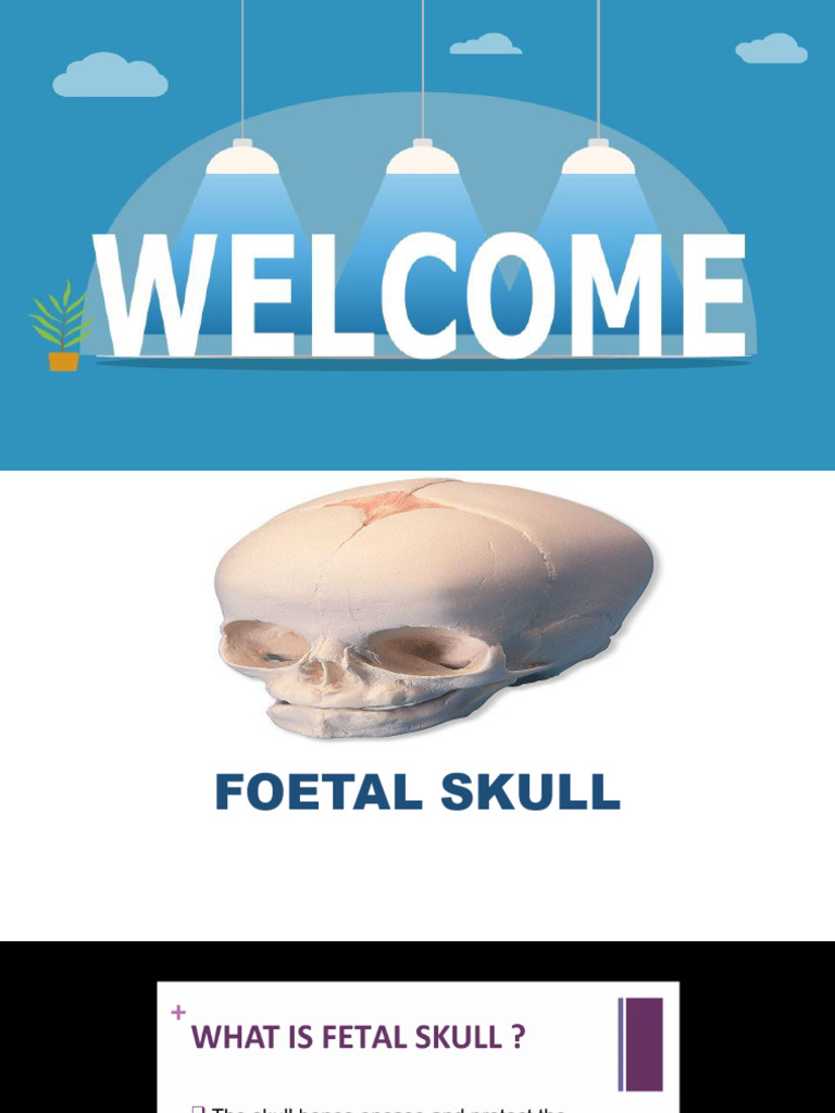 Foetal skull | PDF